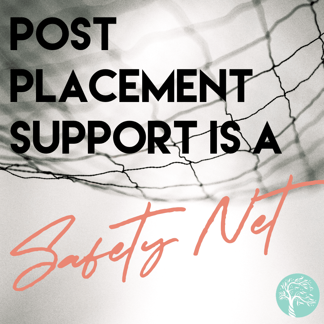 Post Placement Support Is A Safety Net - Abiding Love Blog